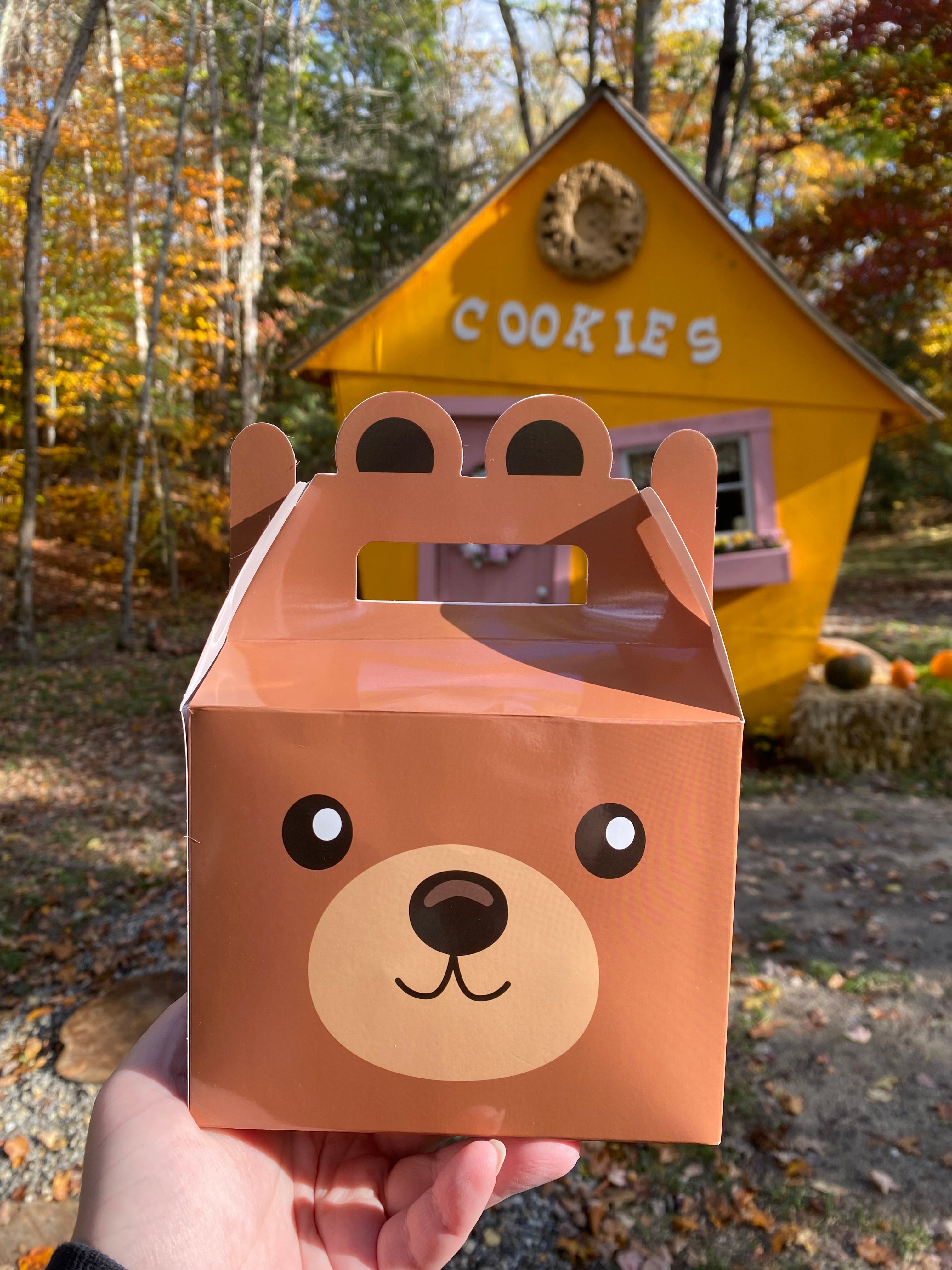 Freshly Baked Goodness: Handmade Cookies from New Hampshire ...